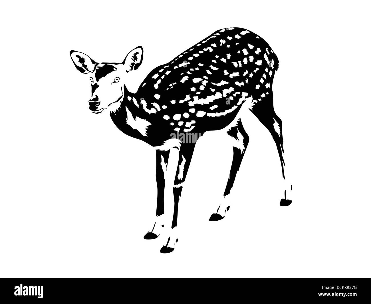 illustration of spotted deer silhouette in black and white vector Stock ...