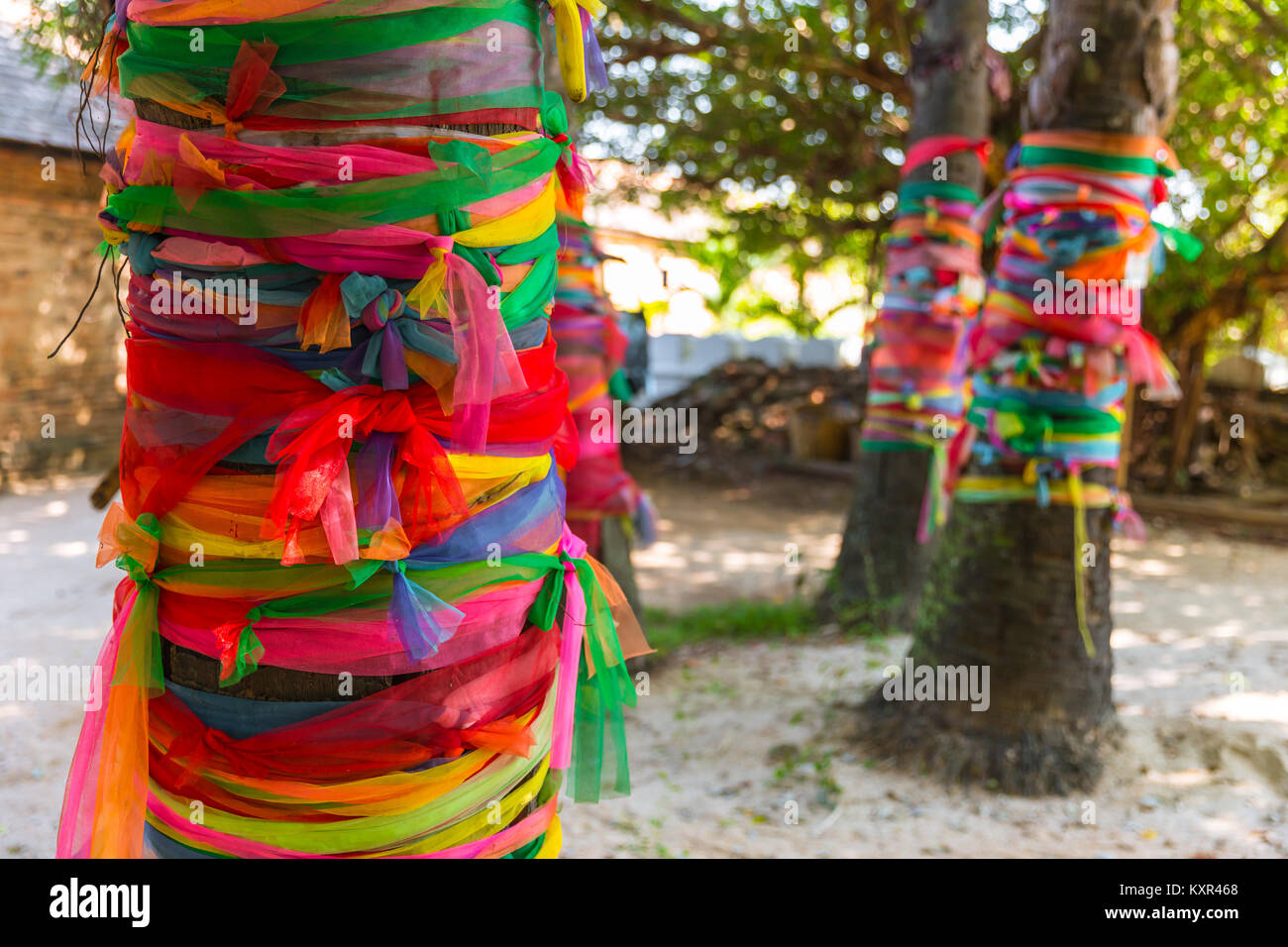 Red tied around tree hi-res stock photography and images - Alamy
