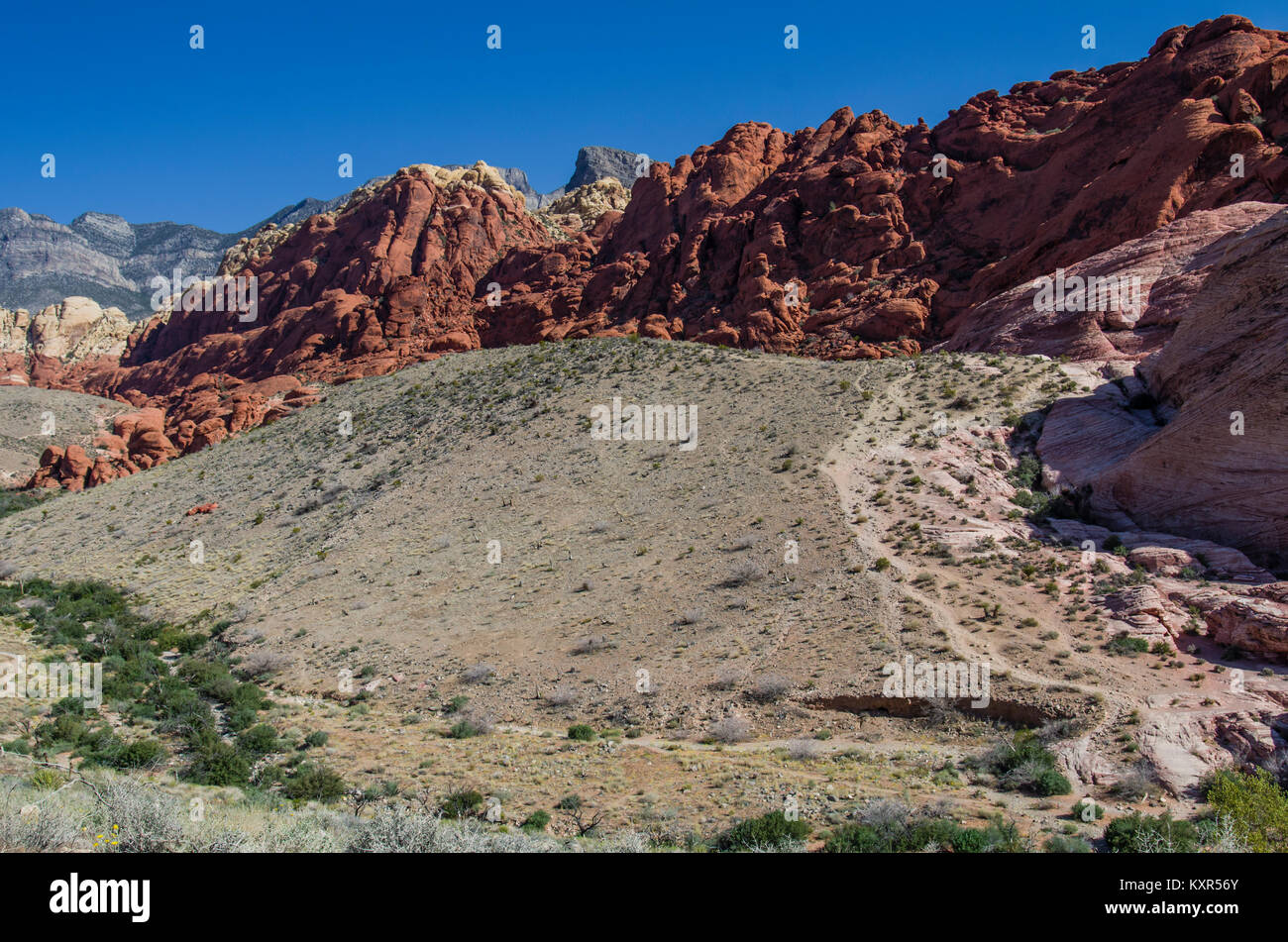 Red rock canyon nevada drive hi-res stock photography and images - Alamy