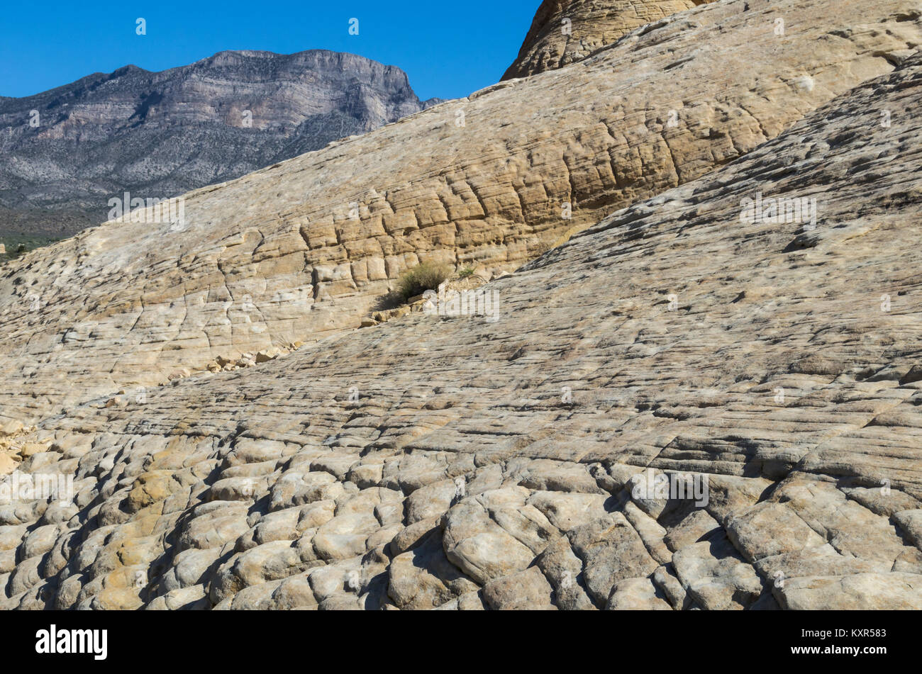 Rock formation with textured erosion in Red Rock Canyon National ...
