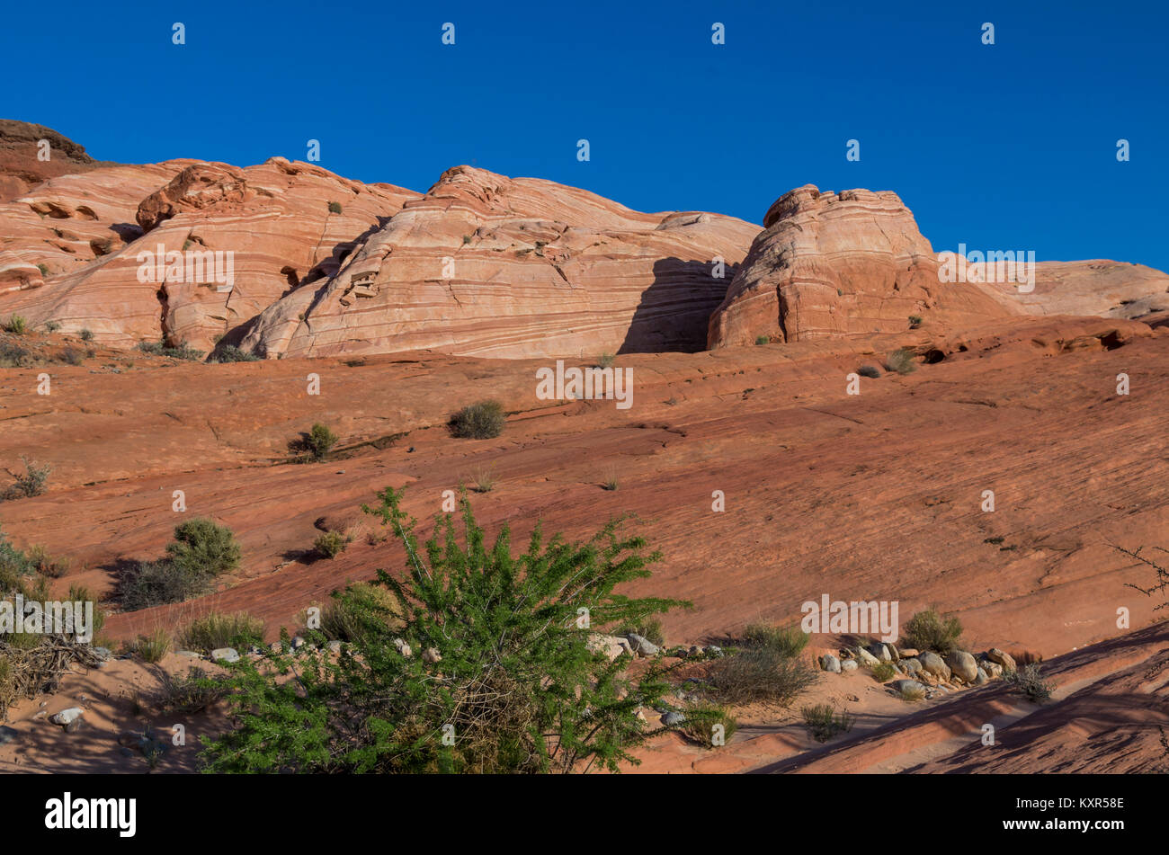 Fire Wave rock formation in Valley of Fire State Park. Las vegas ...