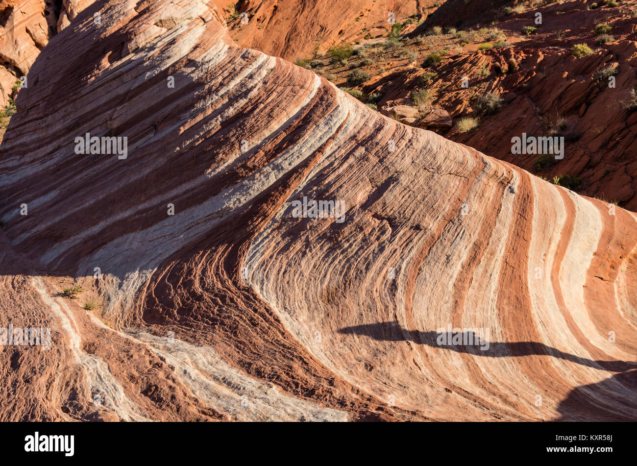Fire Wave rock formation in Valley of Fire State Park. Las vegas ...