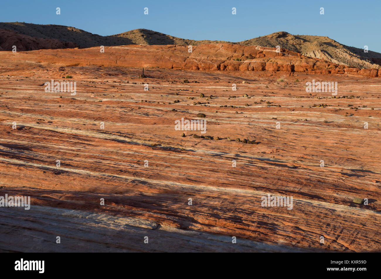 Fire Wave rock formation in Valley of Fire State Park. Las vegas ...