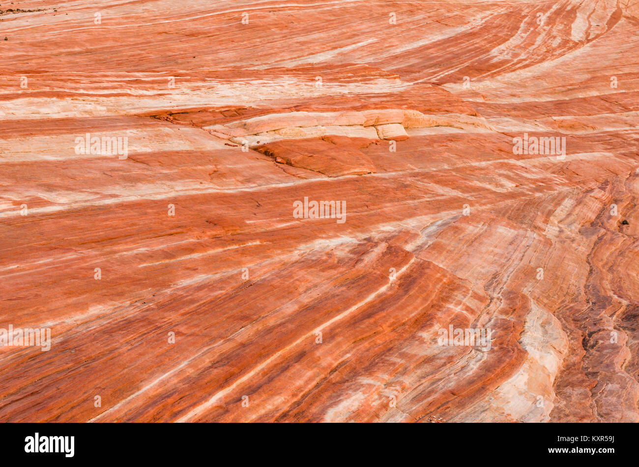 Fire Wave rock formation in Valley of Fire State Park. Las vegas ...