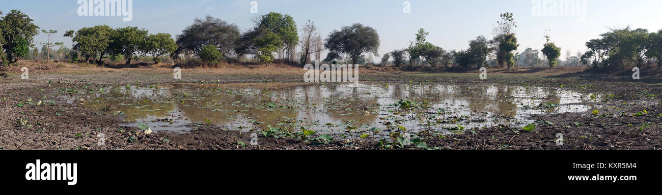 PYU, MYANMAR - CIRCA APRIL 2017 Lotus pond in Sri Ksetra Stock Photo ...