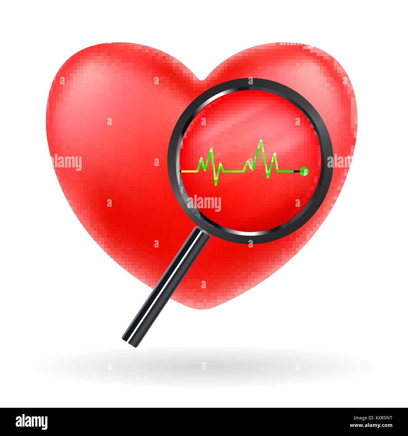 magnify glass scanning red heart beat vector Stock Vector Image & Art ...