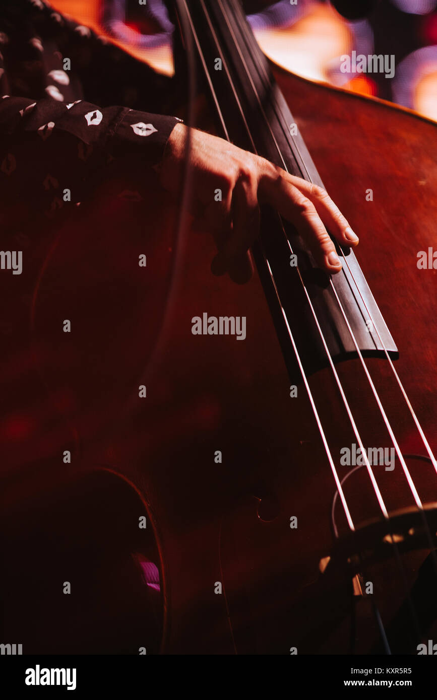 Contrabass player hi-res stock photography and images - Alamy