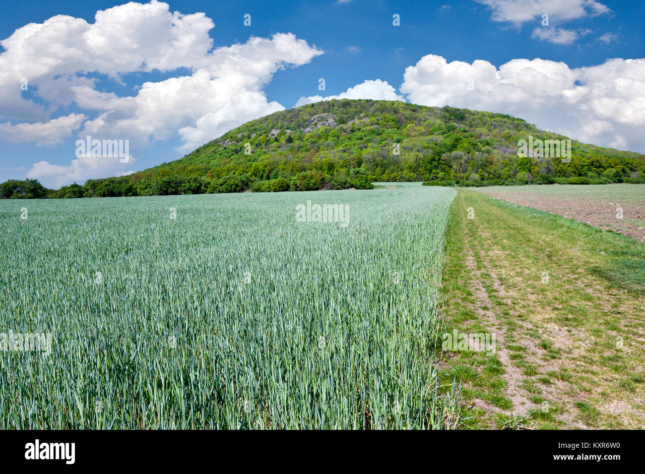Czech national hill rip hi-res stock photography and images - Alamy