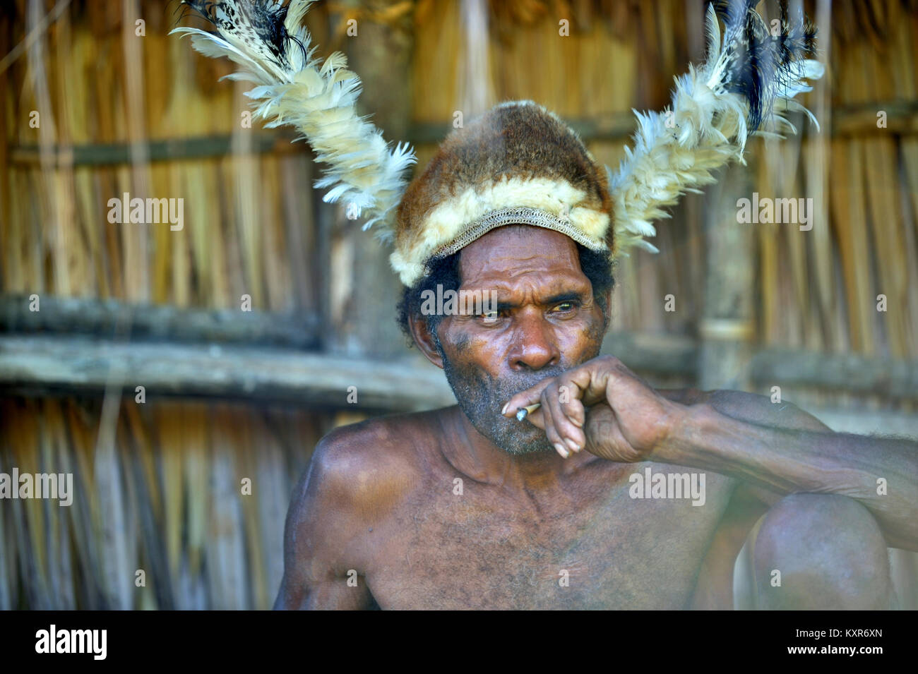Portrait of a smoking man from the tribe of Asmat people. Asmat people ...