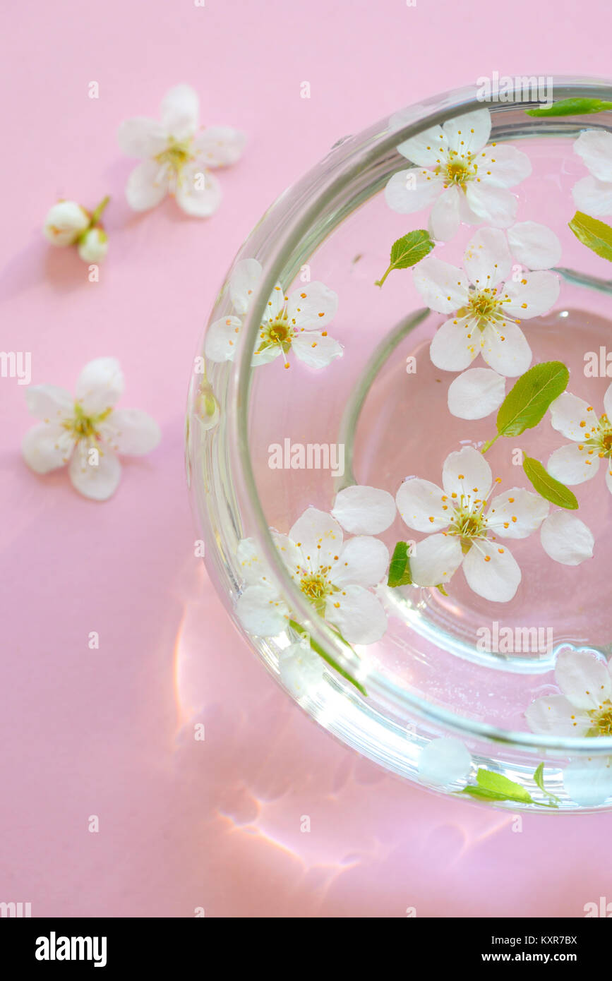 Spring white flowers in bowl of water Stock Photo - Alamy