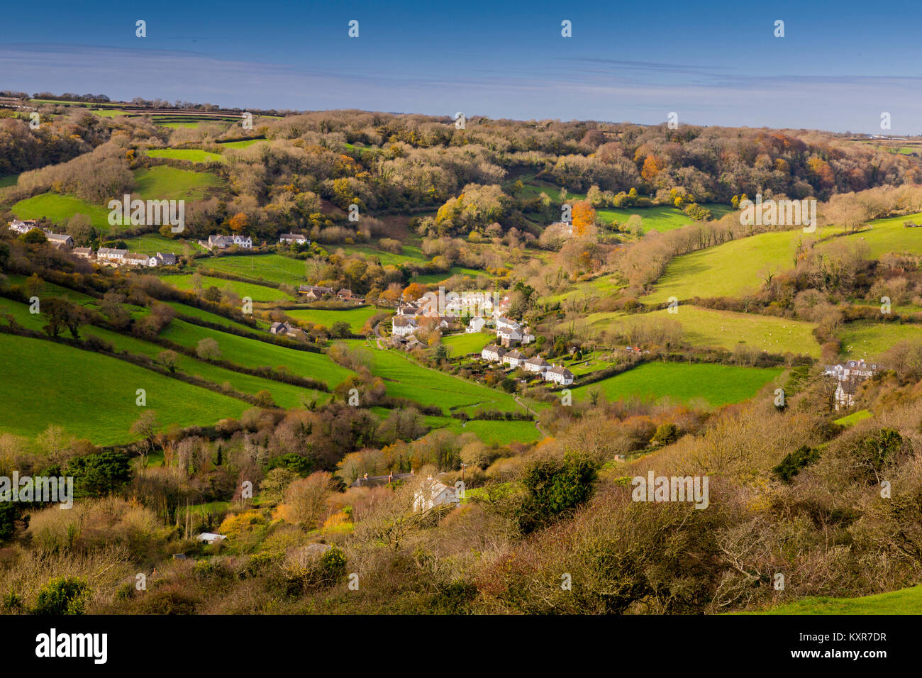 Autumn colour in the woodlands surrounding the picturesque Branscombe ...