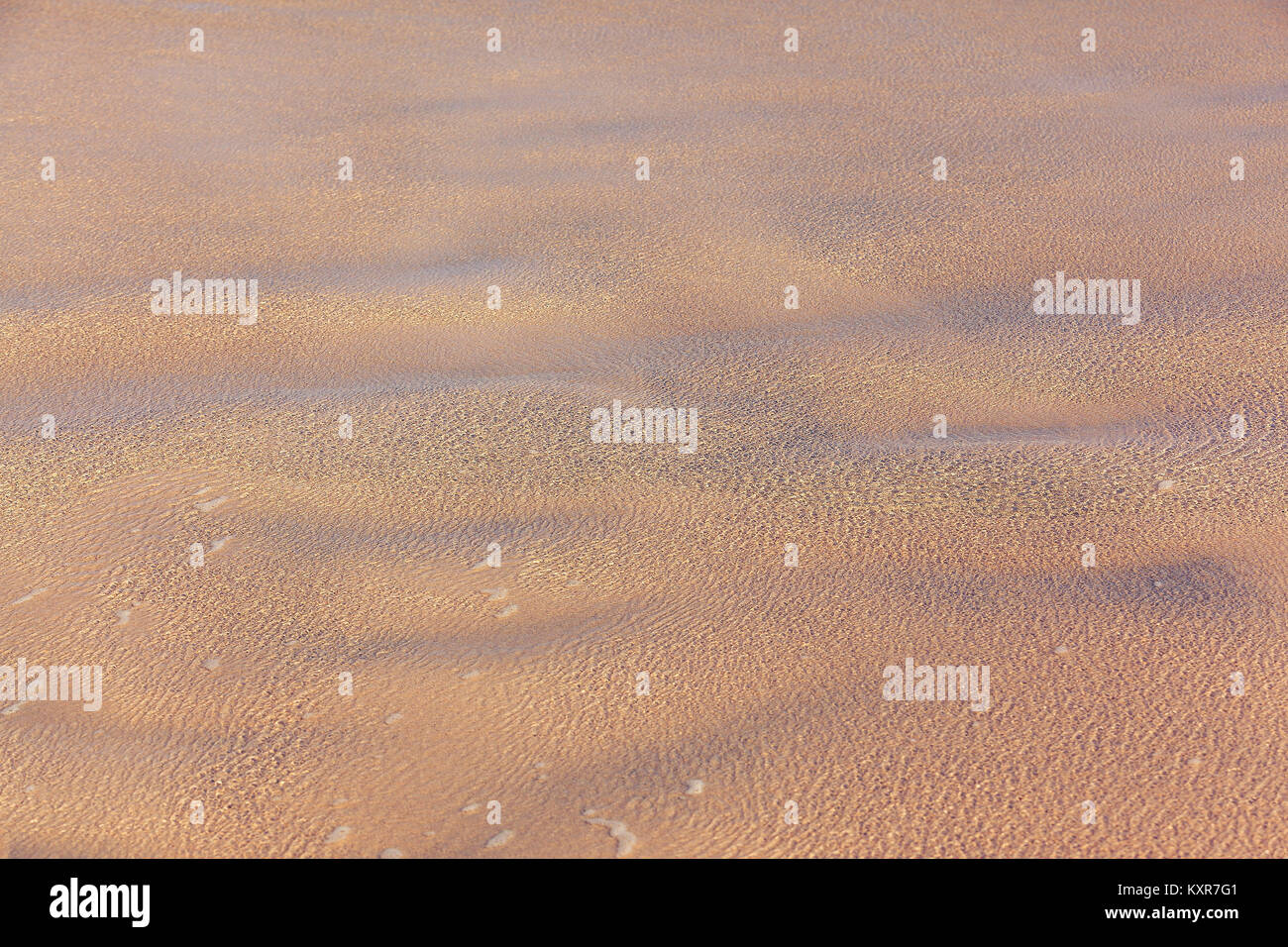 Shallow water beach hi-res stock photography and images - Alamy