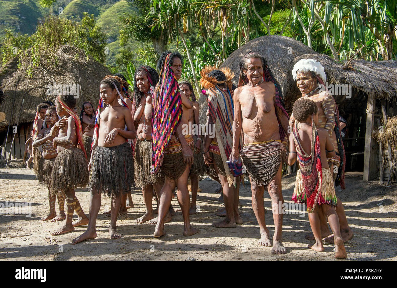 Dugum Dani tribe people in traditional village at the ceremony pig festival in honor of the ...