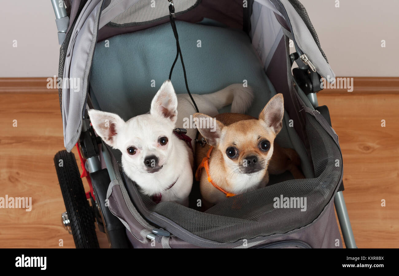 Stroller raincover hi-res stock photography and images - Alamy