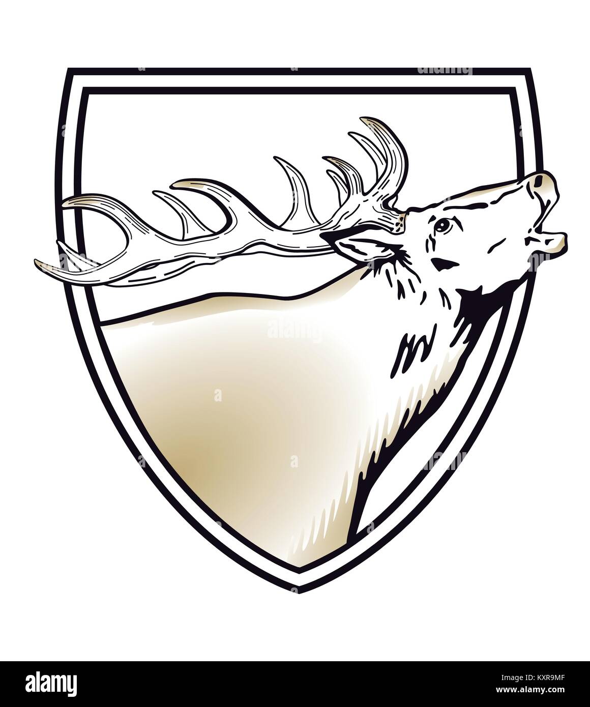 Deer coat of arms, shield, illustration Stock Vector Image & Art - Alamy