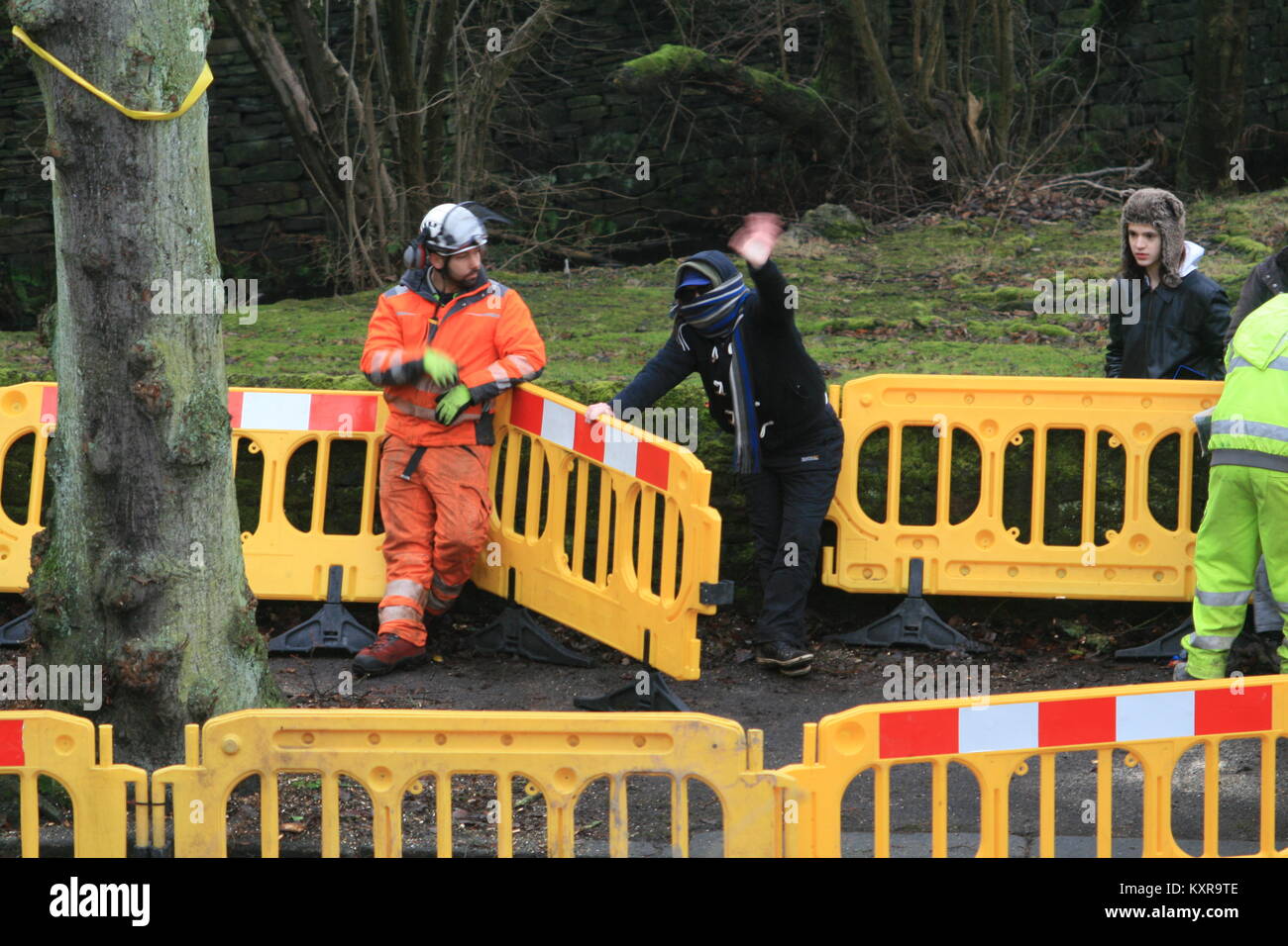 Masked protester inside safety barriers around tree due to be felled by ...