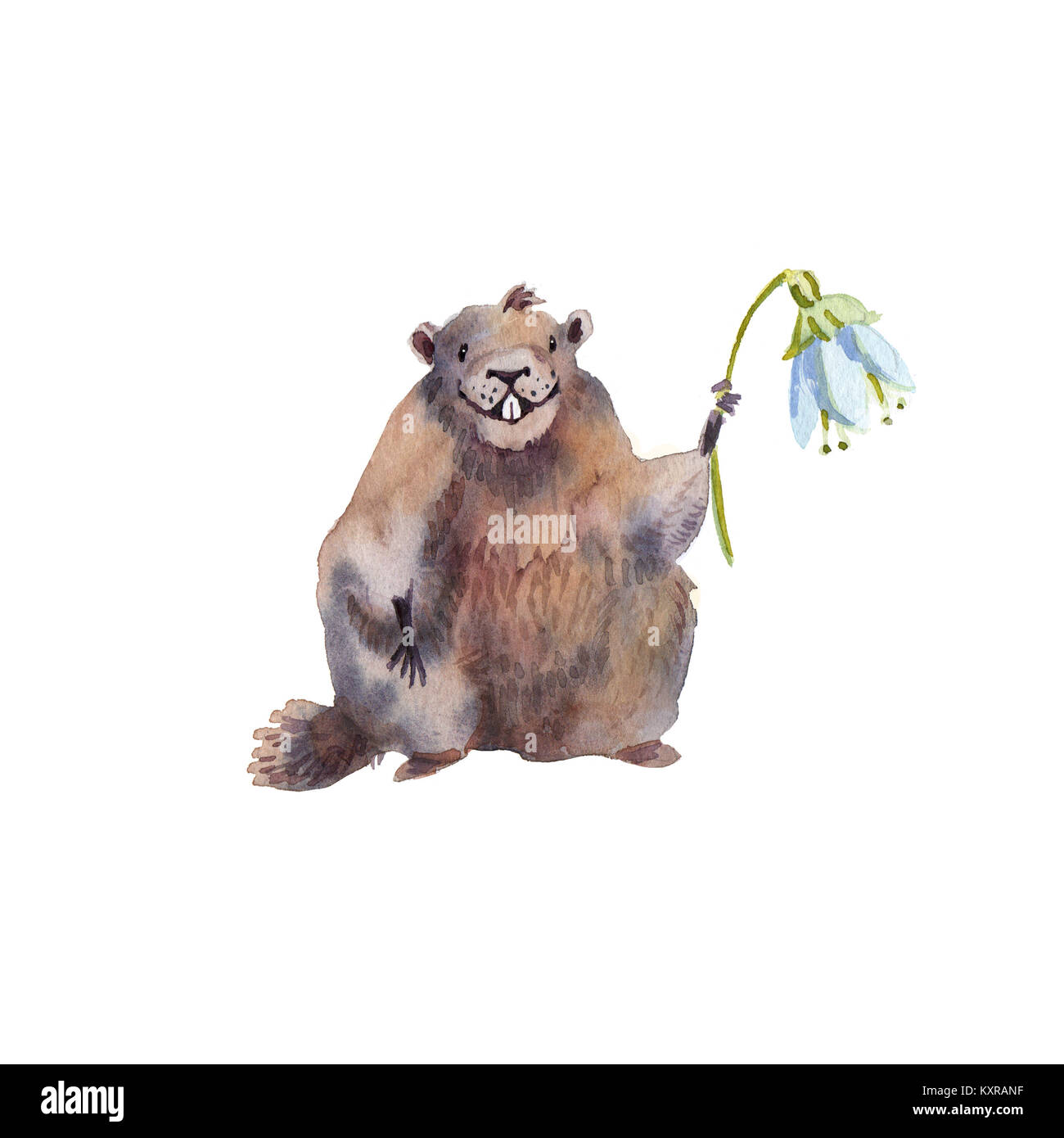 Happy Groundhog Day - hand drawing watercolor groundhog illustration ...