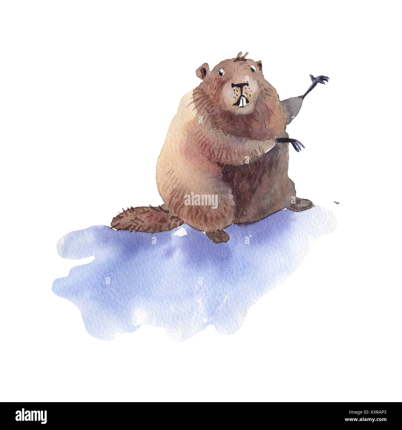 Happy Groundhog Day - hand drawing watercolor groundhog illustration ...