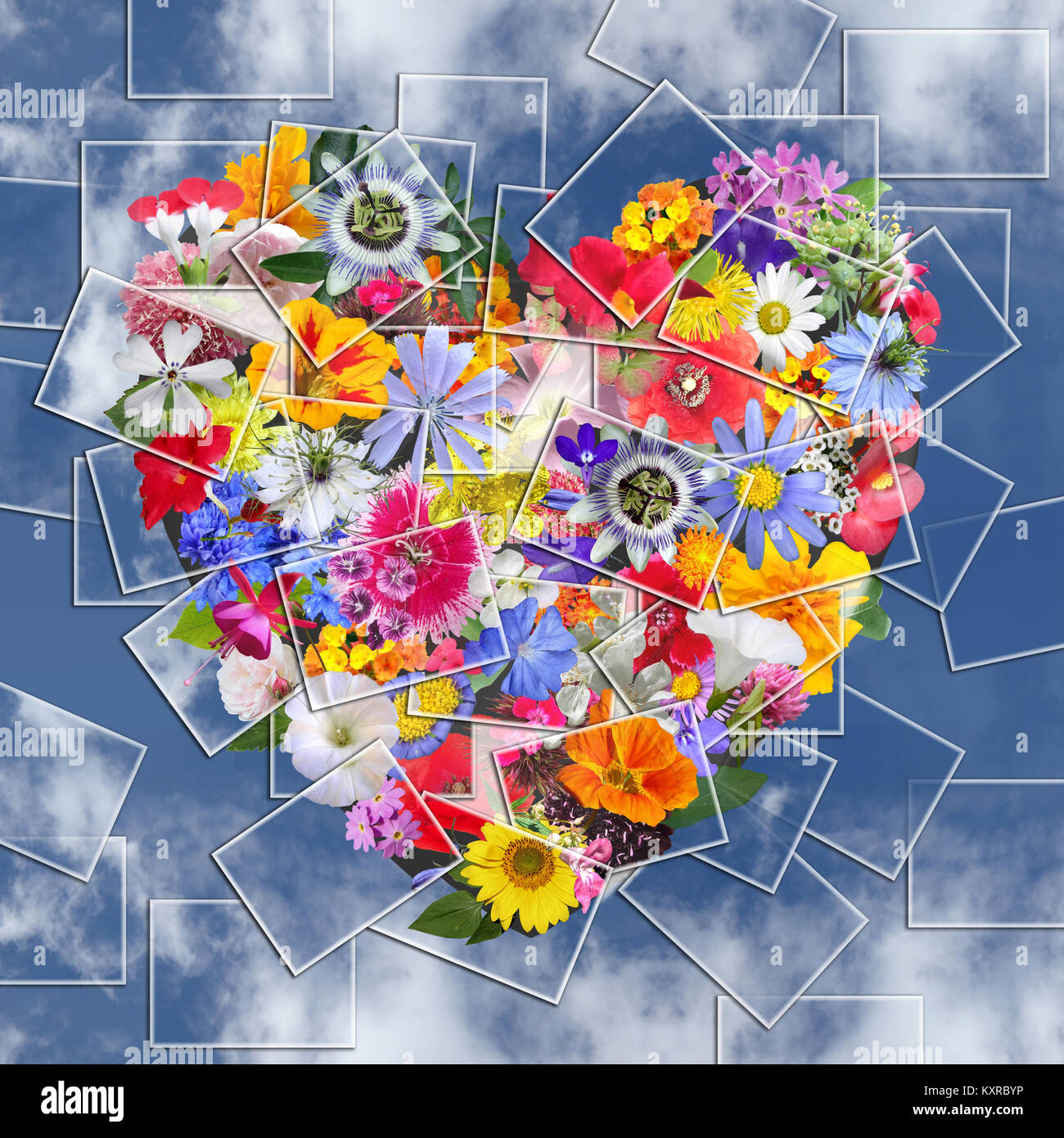 Collage Heart made with Photography Flowers on Blue sky Stock Photo - Alamy