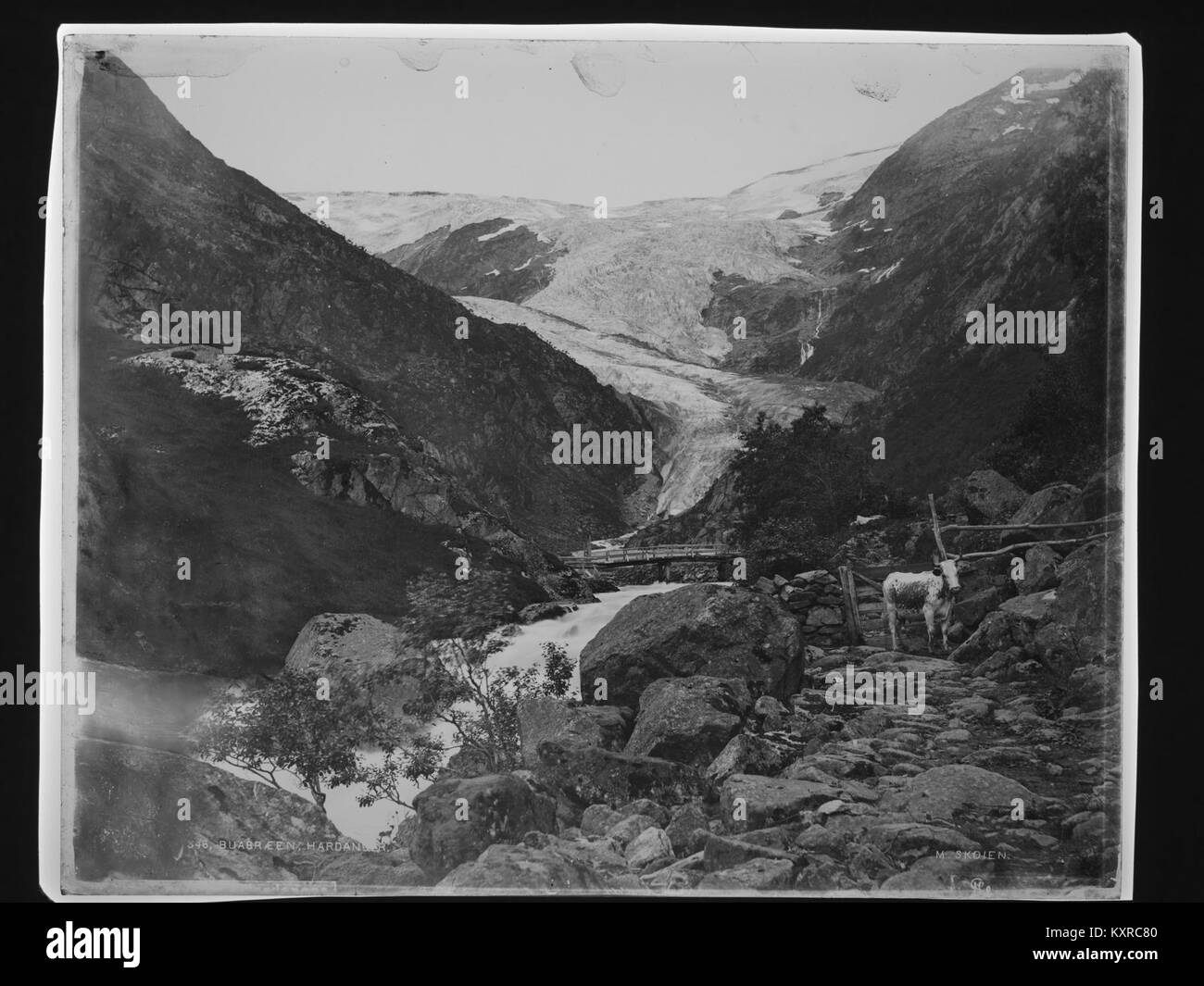 Buarbræen, Hardanger - NB MS G4 0067 Stock Photo - Alamy