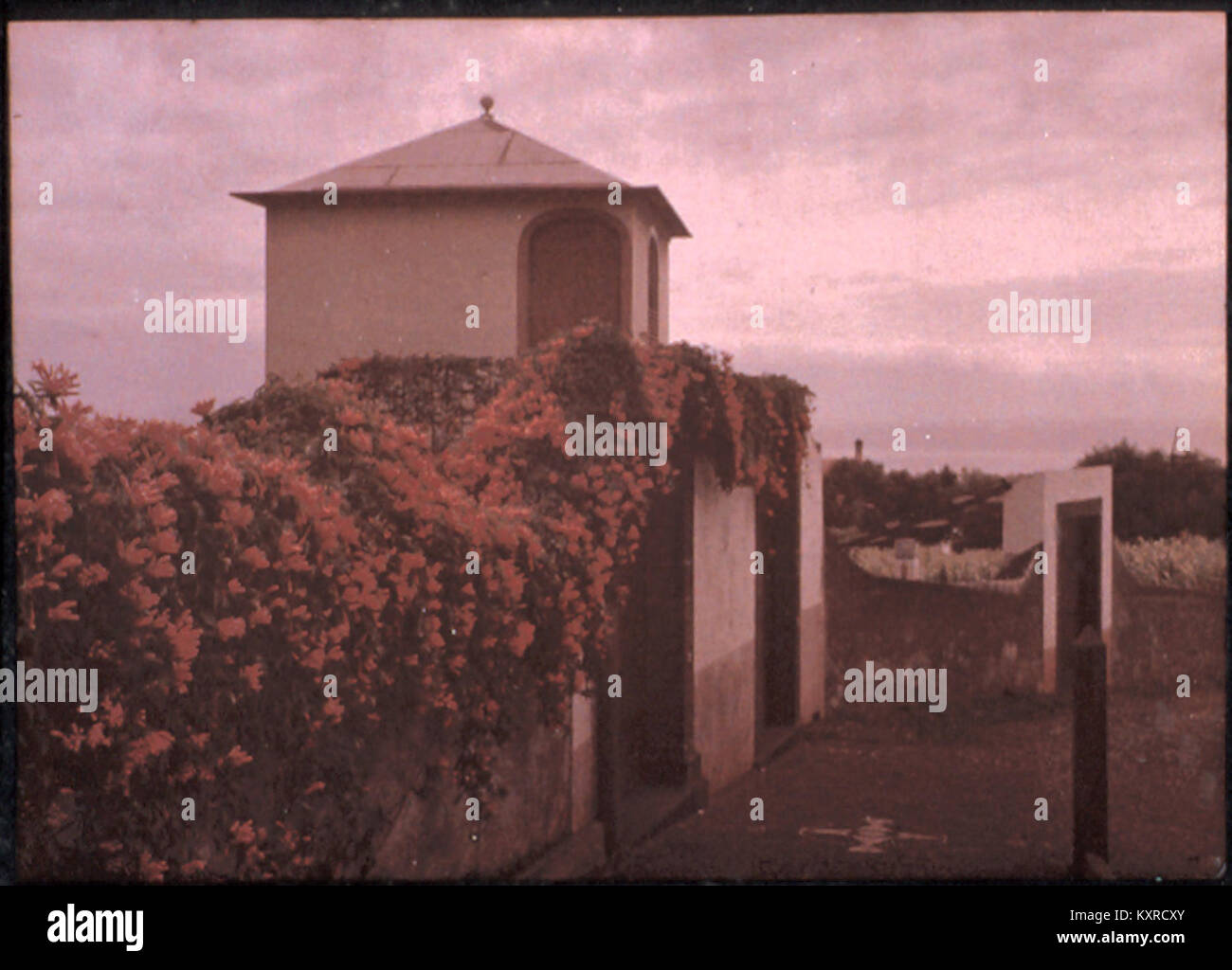 Sarah angelina acland hi-res stock photography and images - Alamy