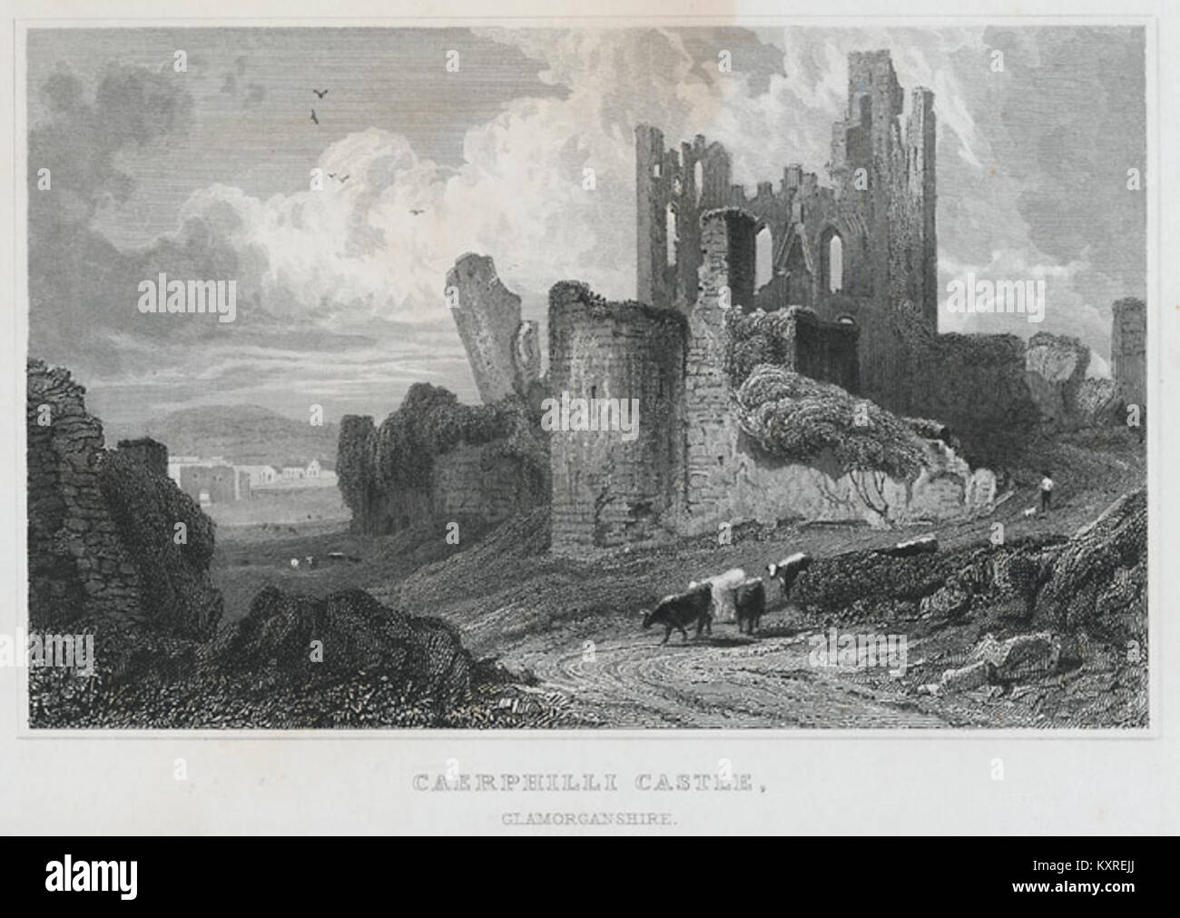 Caerphilly Castle is a large medieval fortress located in Glamorgan ...