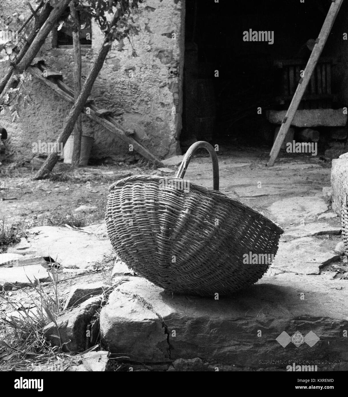 Cajna (košara) za sadje, domače delo 1953 Stock Photo - Alamy