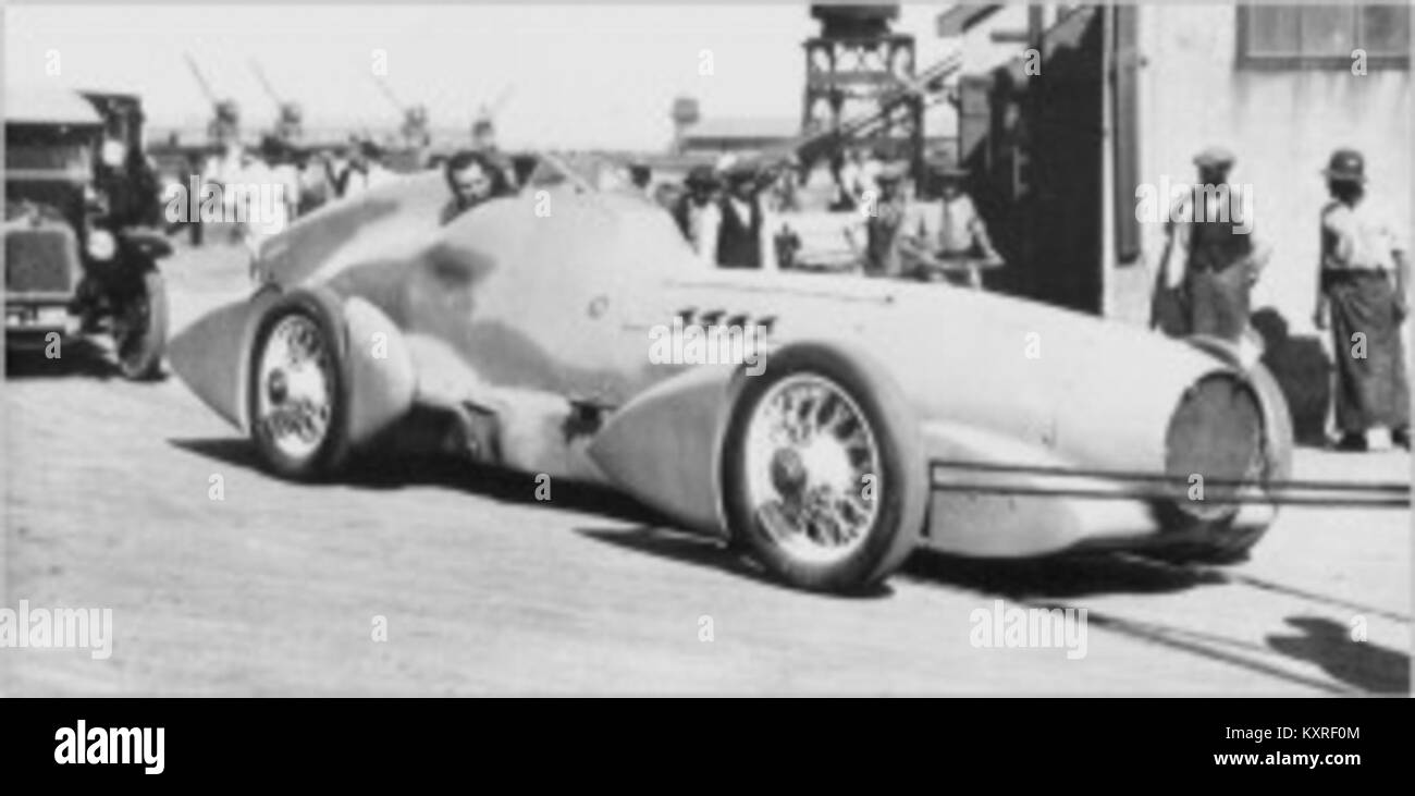 This image shows the Campbell-Napier-Arrol Aster Blue bird, a notable ...