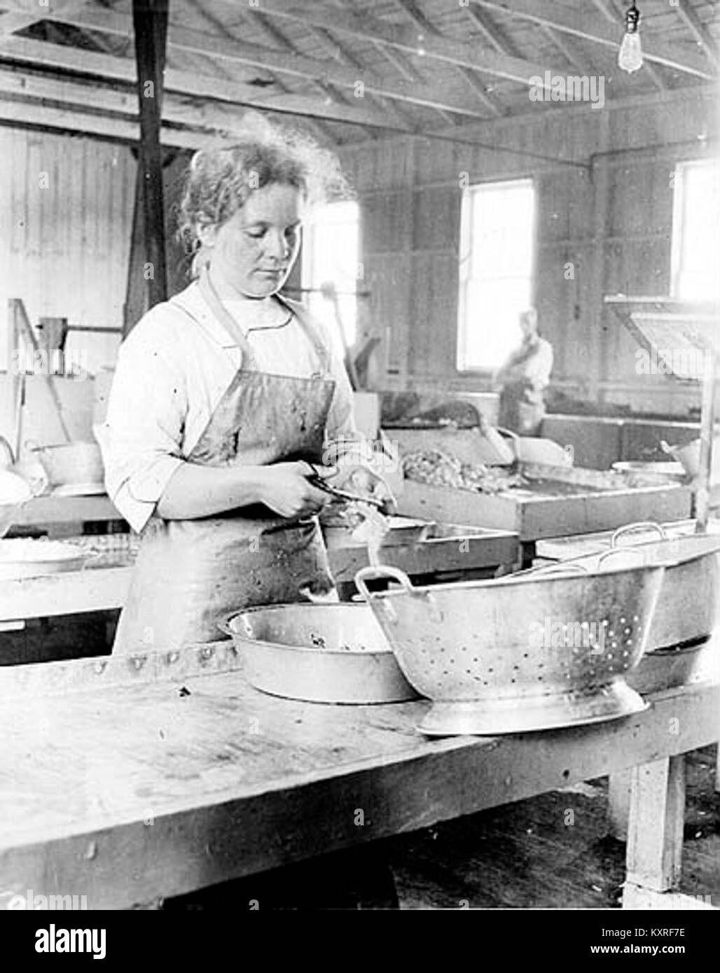 A photograph of cannery workers at the Sea Beach Packing Works in ...