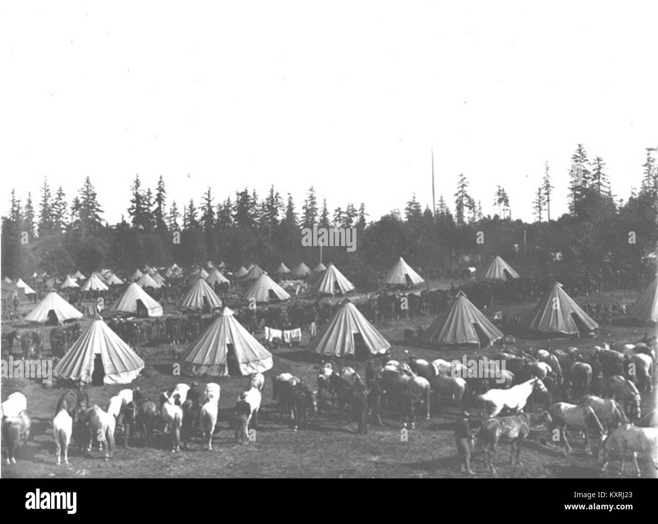 Washington cavalry hi-res stock photography and images - Alamy