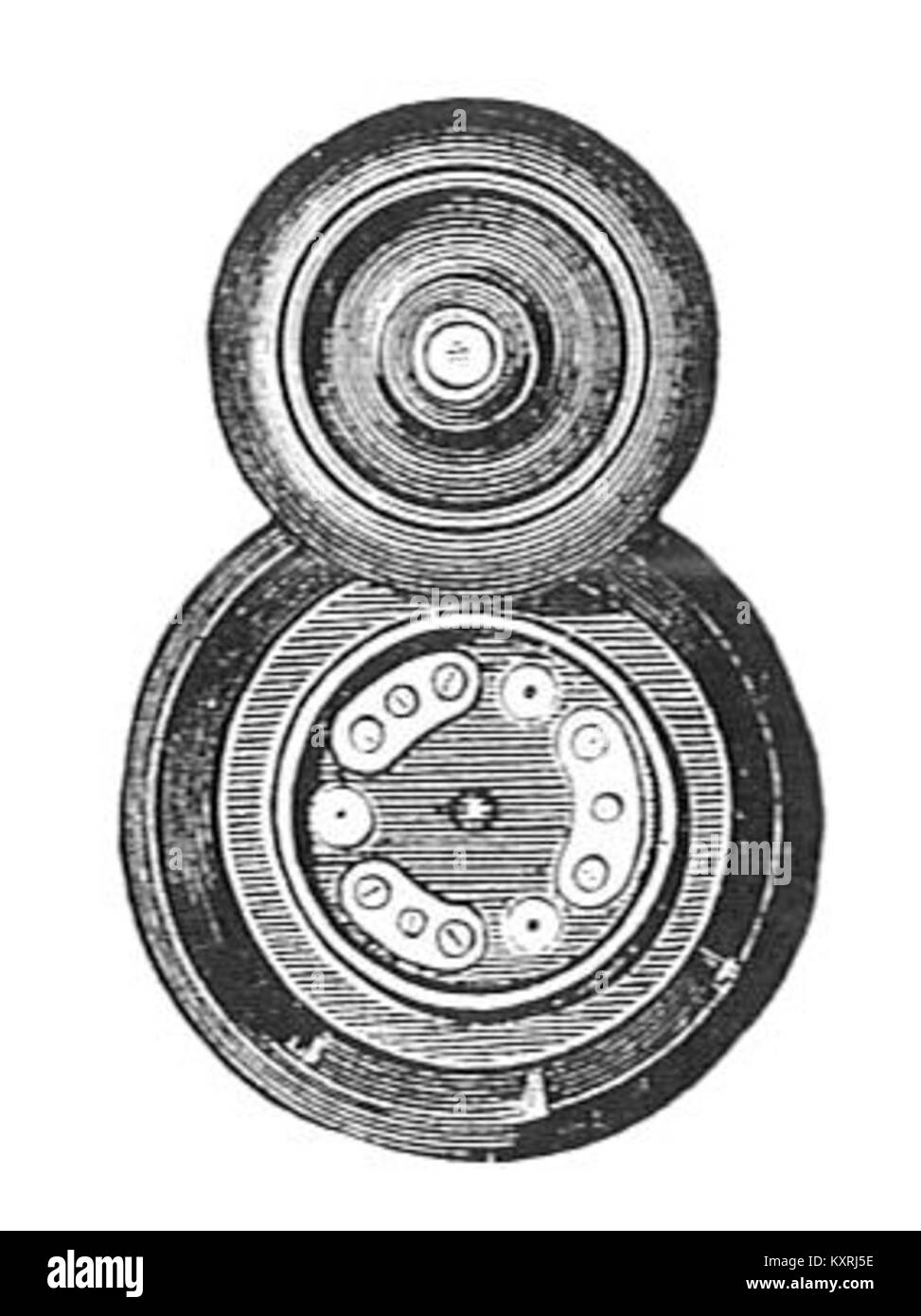 Ceiling woodwork in interior Black and White Stock Photos & Images - Alamy