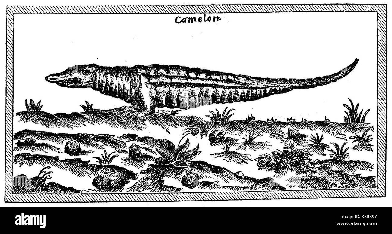 Illustration from the 1870 first volume of Champlain’s works, published ...