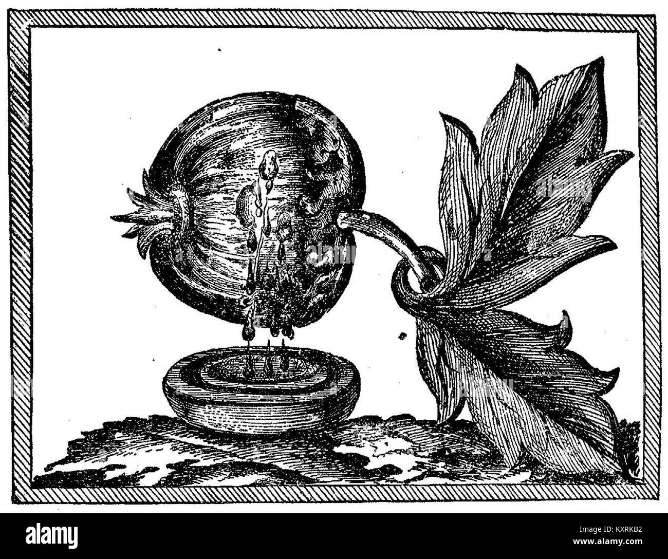 An illustrated plate from the first volume of Samuel de Champlain’s ...