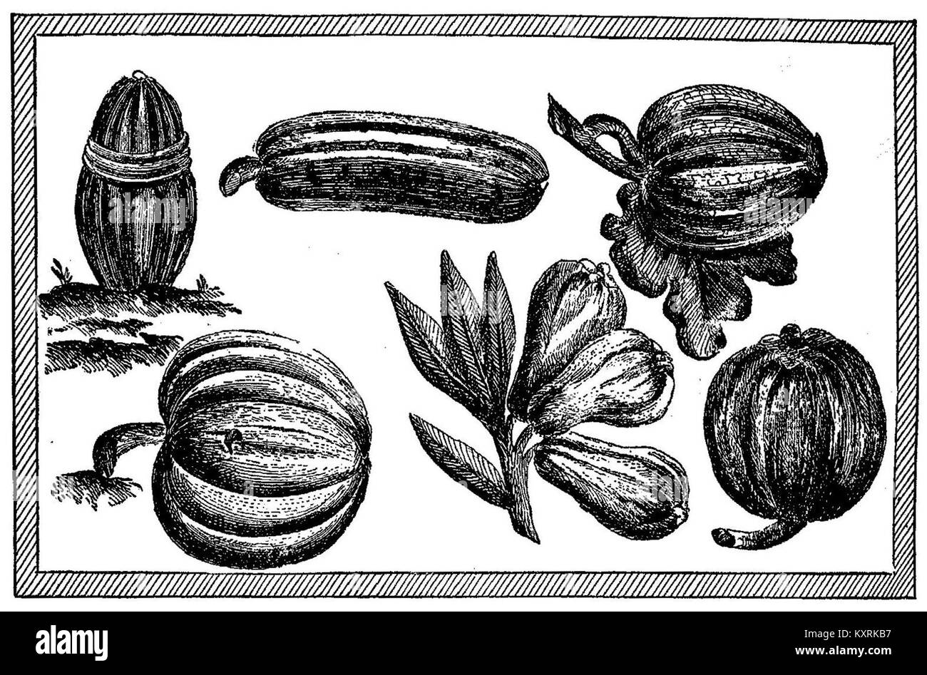 Illustration plate from the 1870 edition of Oeuvres de Champlain ...