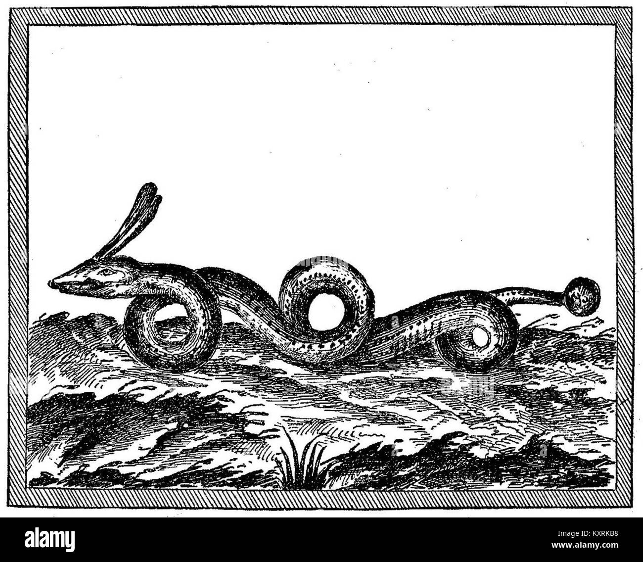 Champlain map hi-res stock photography and images - Alamy