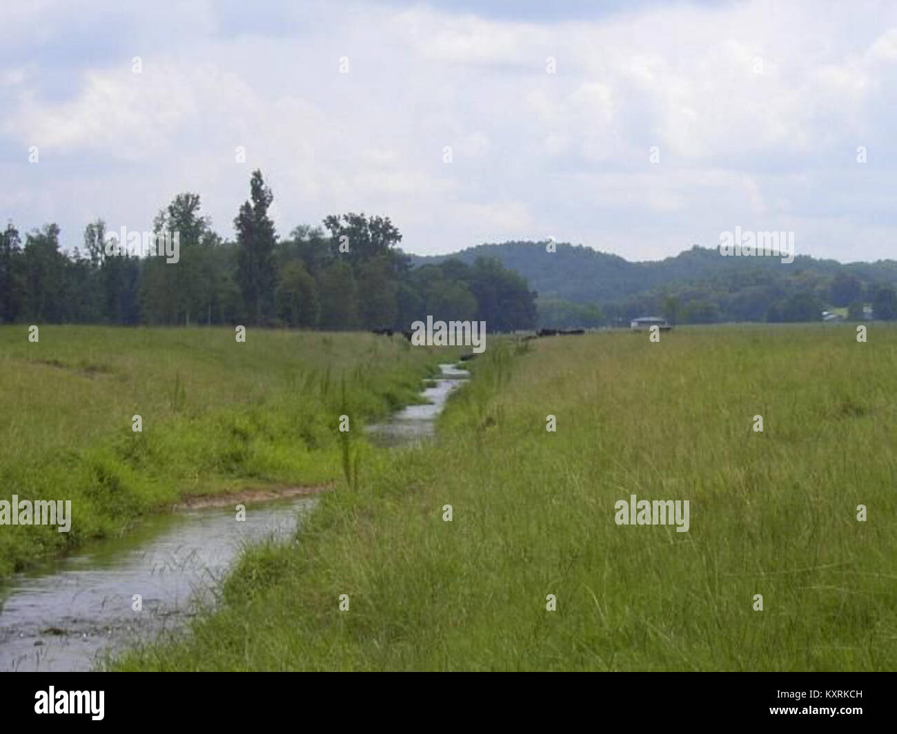 The photograph shows a channelized stream in Georgia (U.S. State) where ...