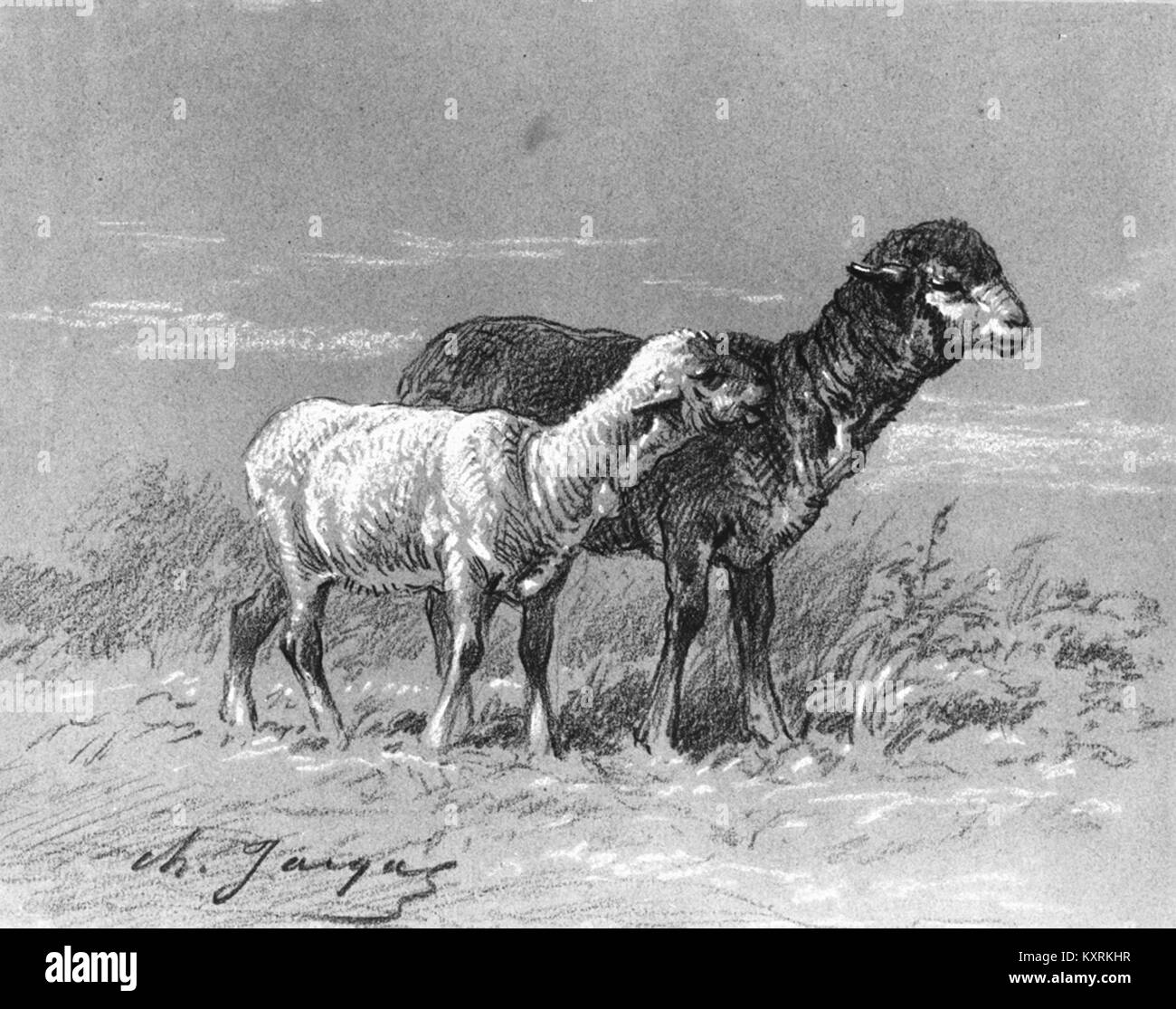 A pastoral painting by French artist Charles Émile Jacque titled 'Ewe ...