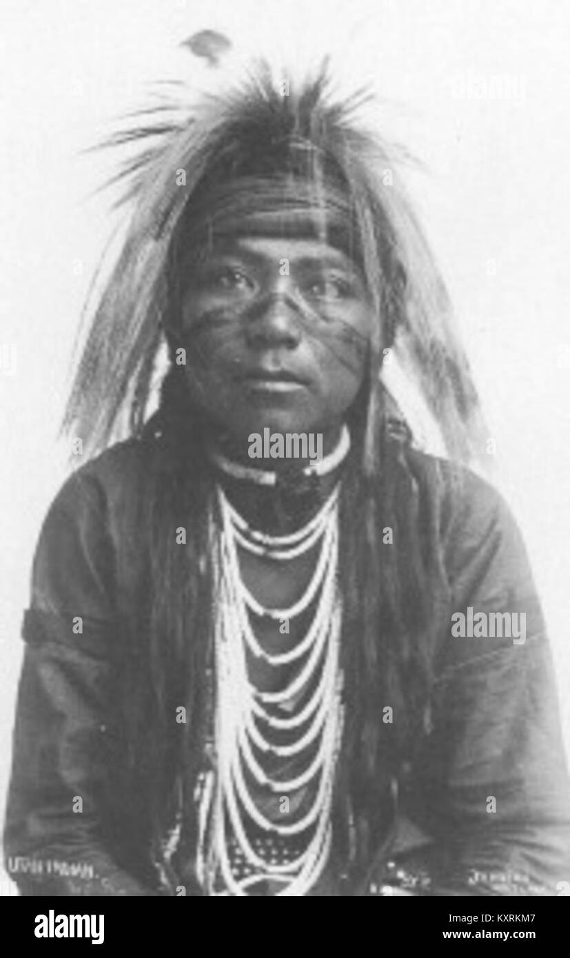 Charles Ellis Johnson's view of Native Americans Stock Photo - Alamy