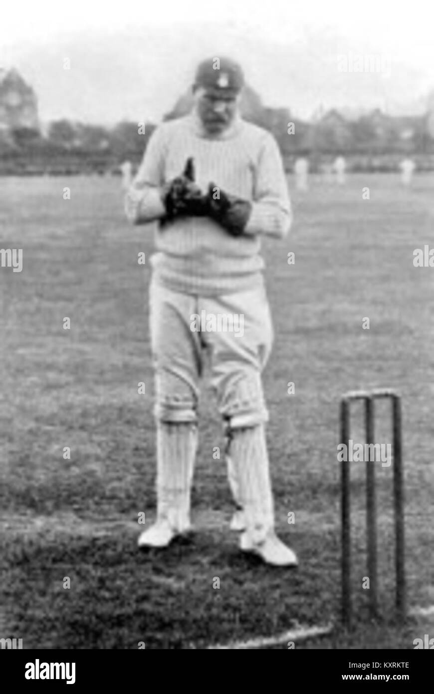 Charles Robson was a cricketer, known for his contributions to the ...