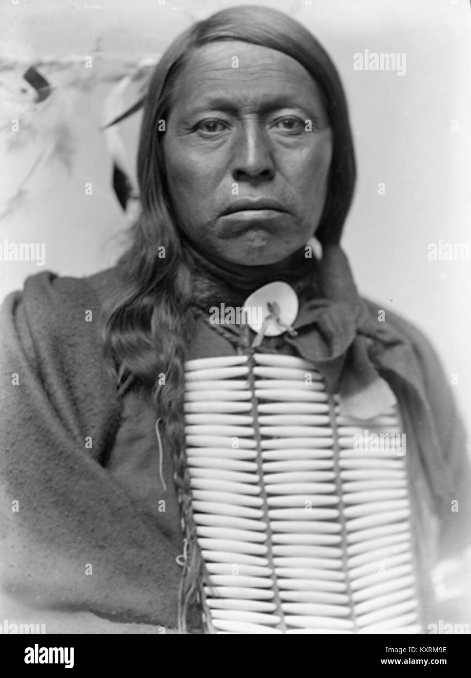 Gertrude hawk hi-res stock photography and images - Alamy