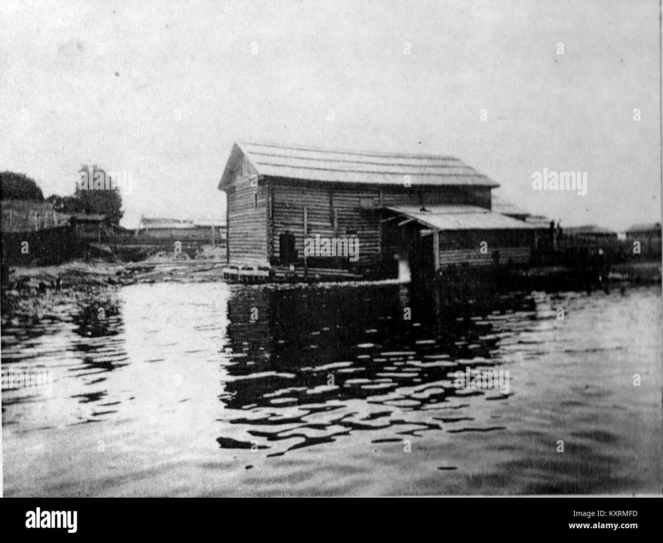 This title refers to a historical work related to the Battle of Chocim ...