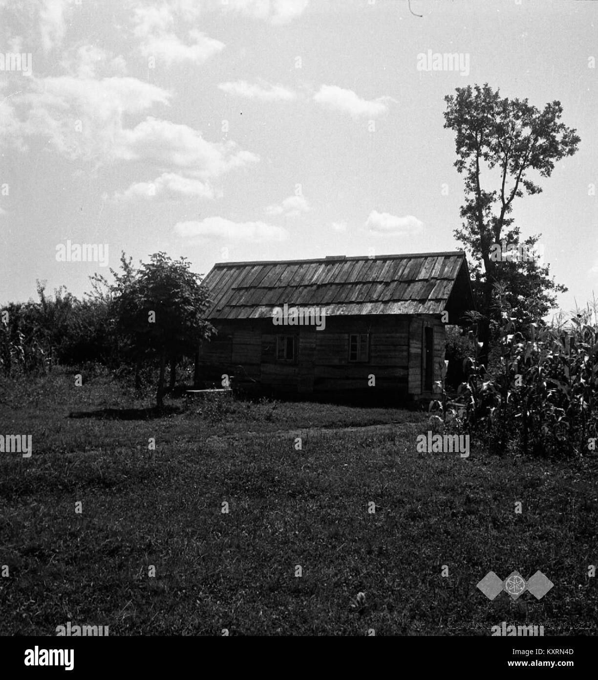 Ciganska hi-res stock photography and images - Alamy