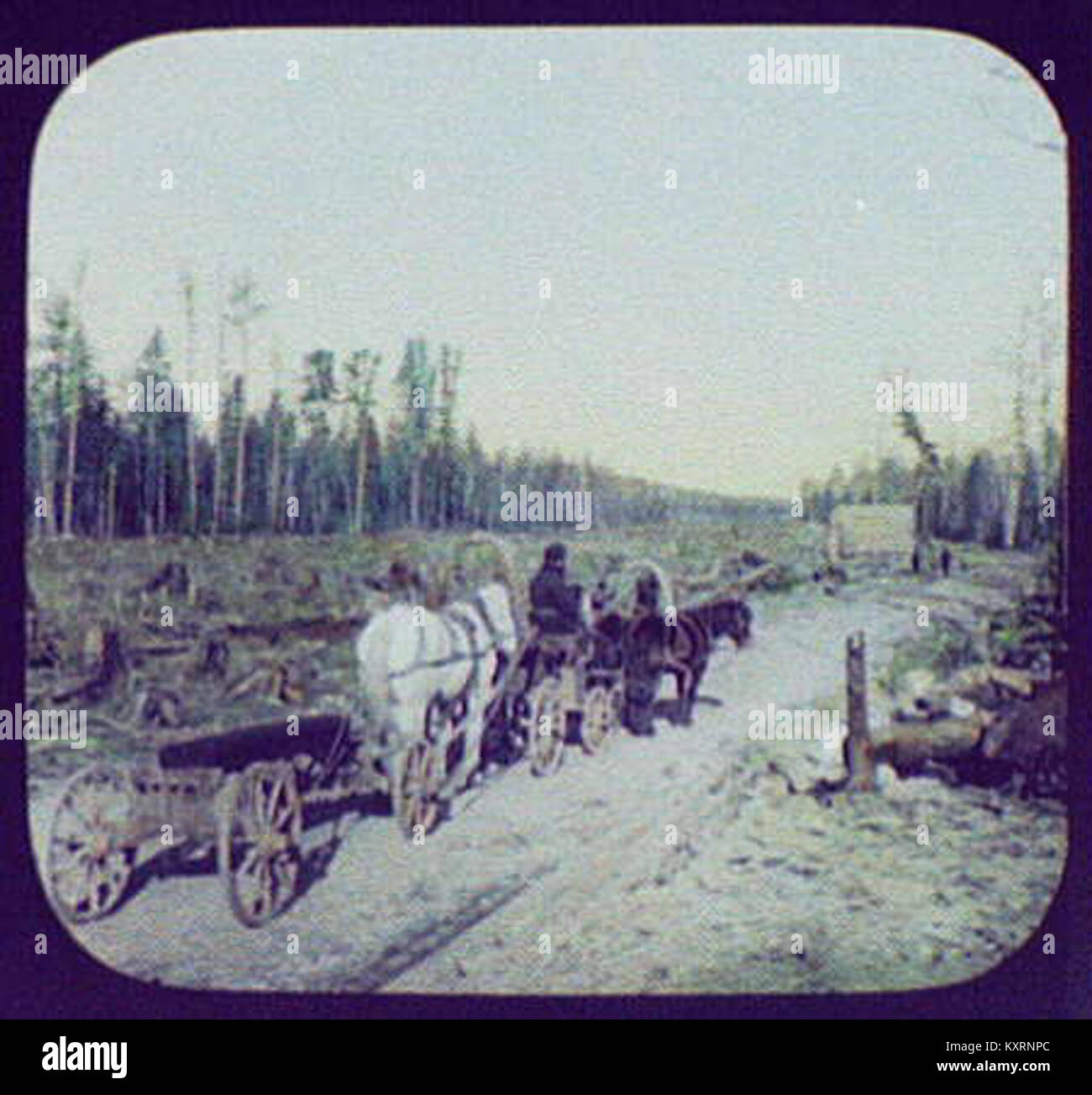 A photograph of a clearing along the right-of-way of the Eastern ...