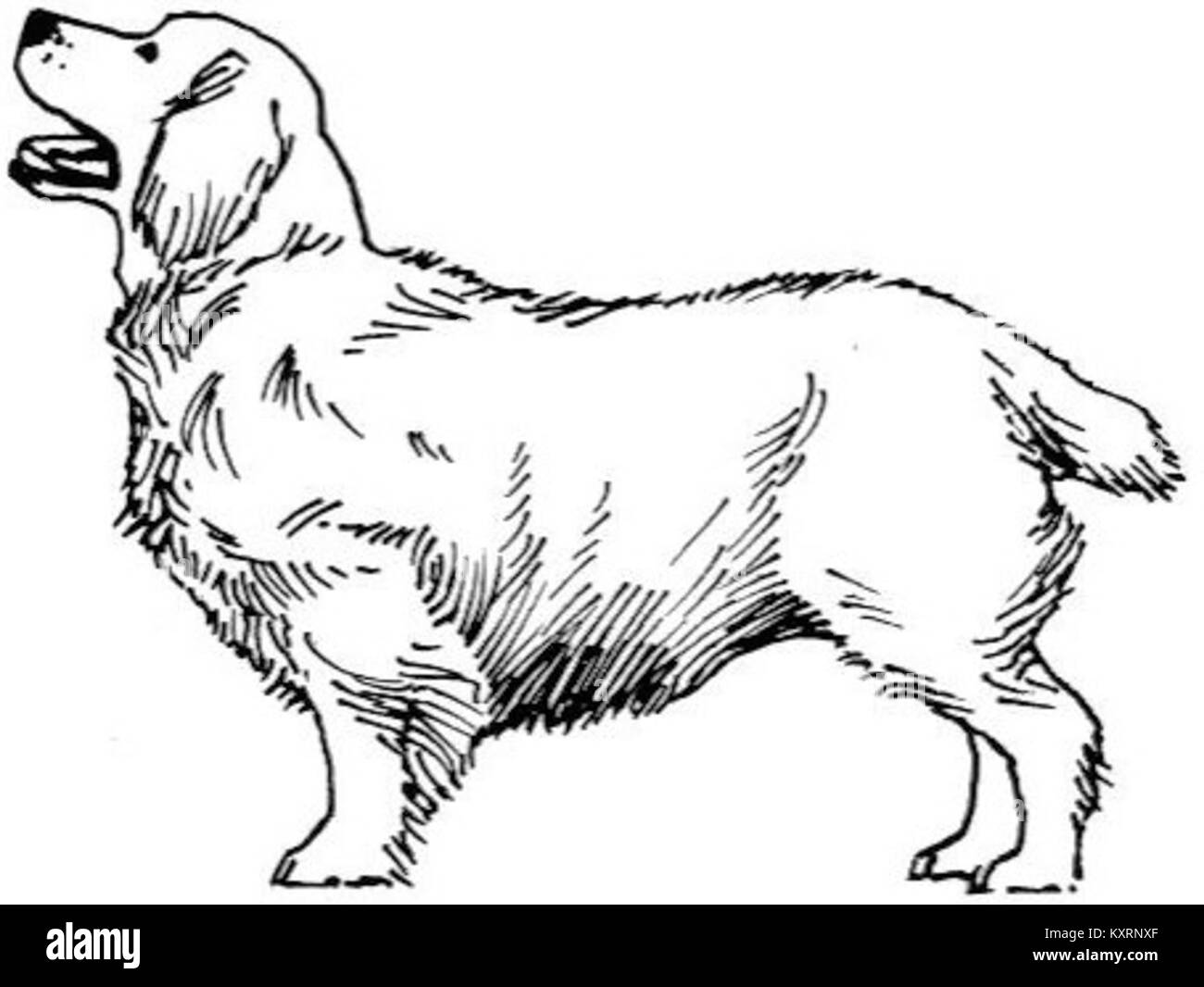 Clumber is a location known for its historical and cultural ...