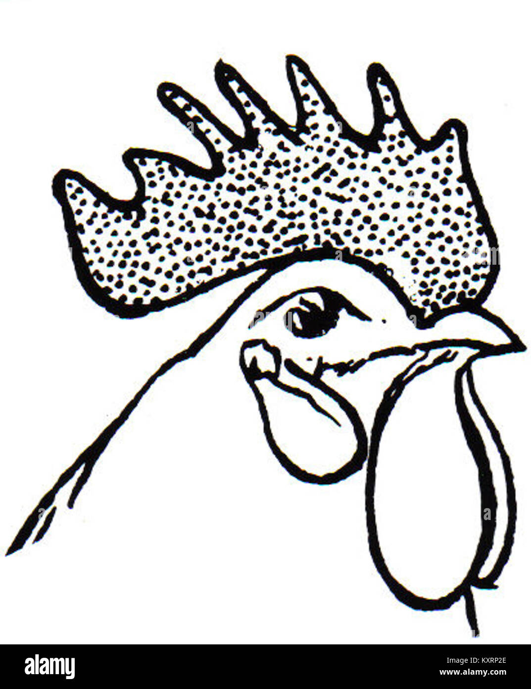 The cockscomb is a flowering plant known for its distinctive, comb-like ...