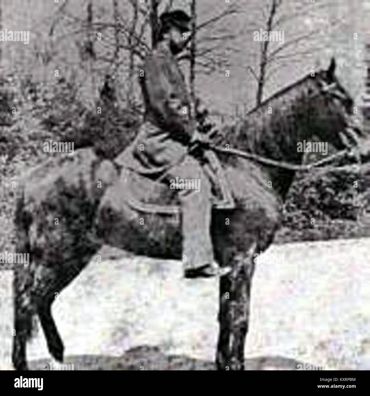 John Yapp High Resolution Stock Photography and Images - Alamy