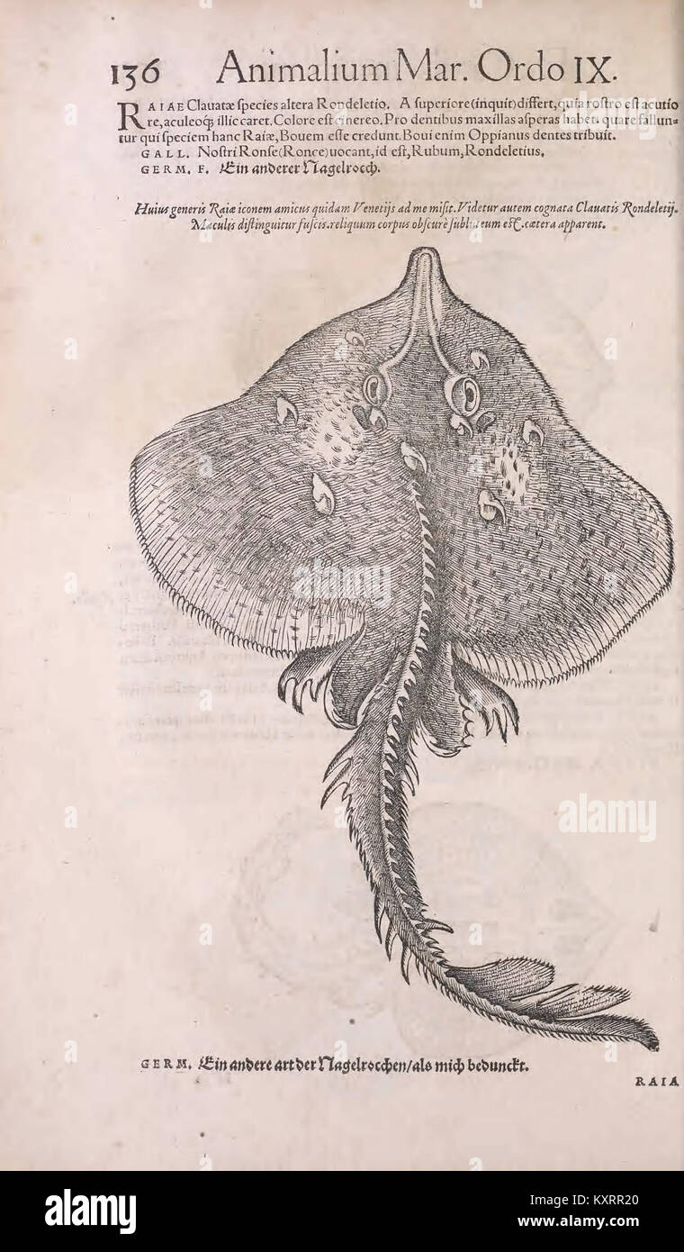 A historical work by Conrad Gesner, a prominent Swiss scholar, focusing ...