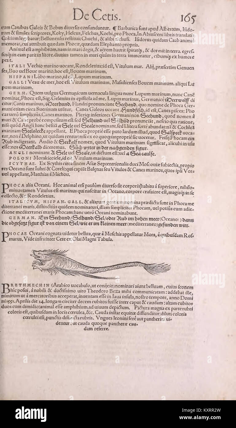 A page from Conrad Gesner's work on animals, specifically from his ...