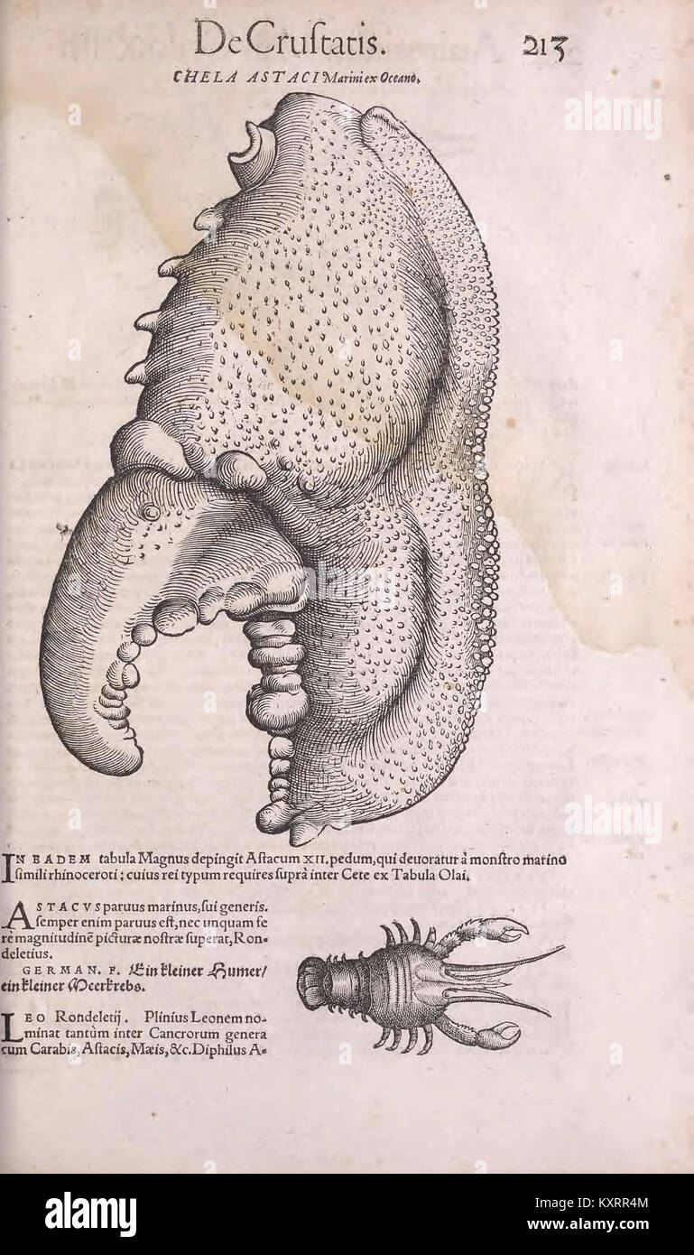 The second volume of Conrad Gesner's *Historiae animalium*, published ...