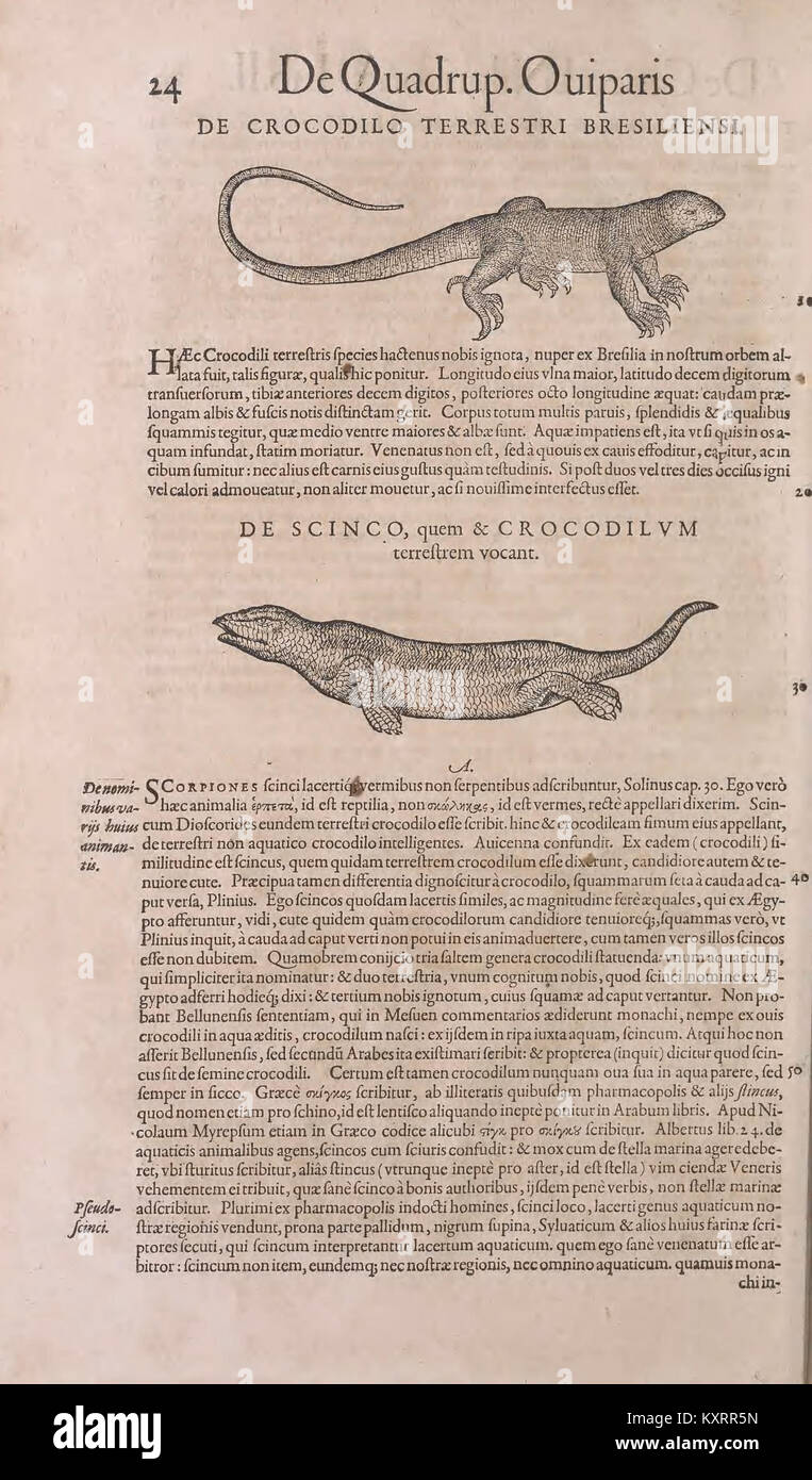 This image shows a page from 'Historia animalium' by Conrad Gesner, a ...